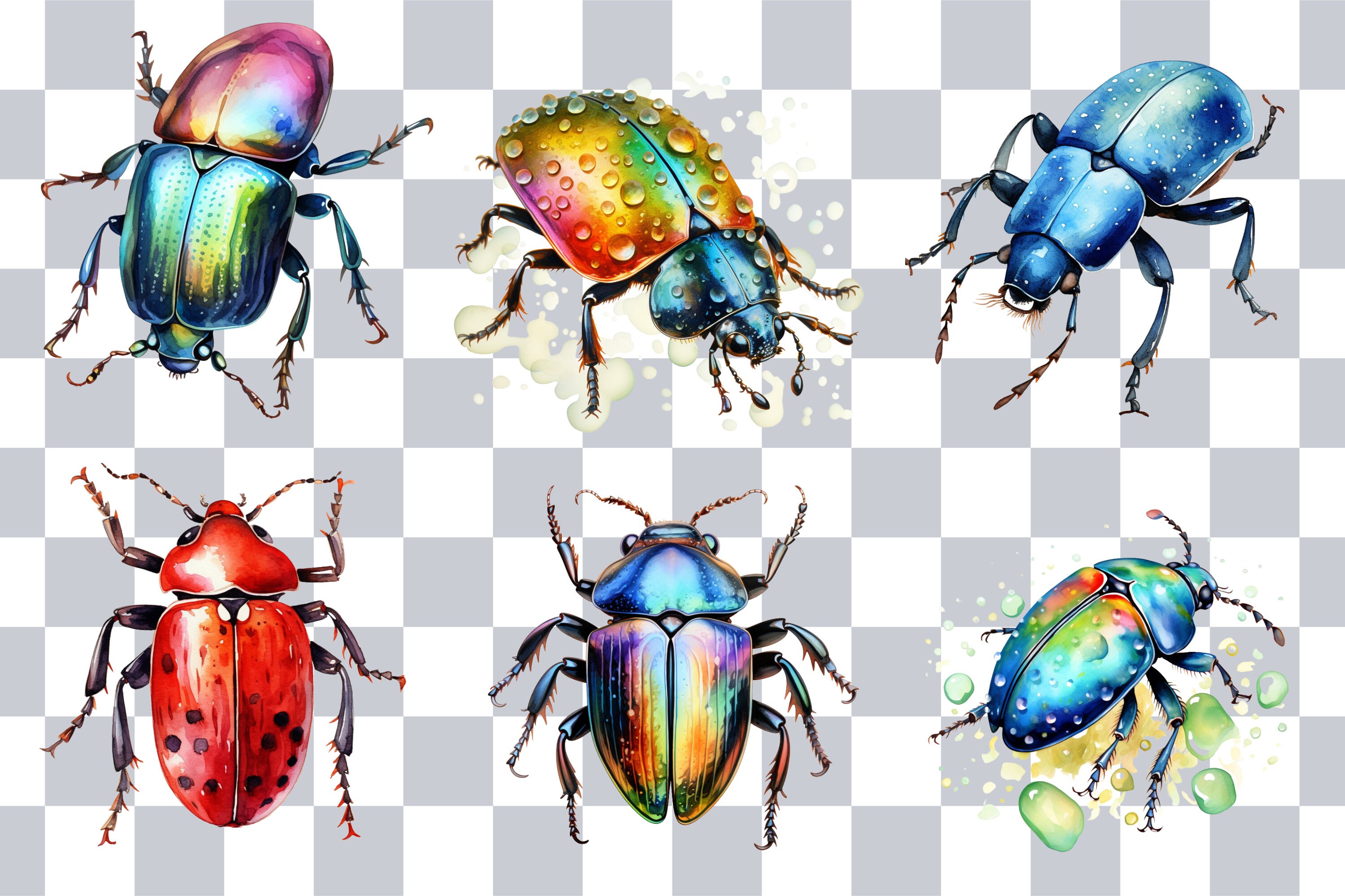 Watercolor Beetle Clip Art, Insect Clipart Graphics, Colorful Beetles ...