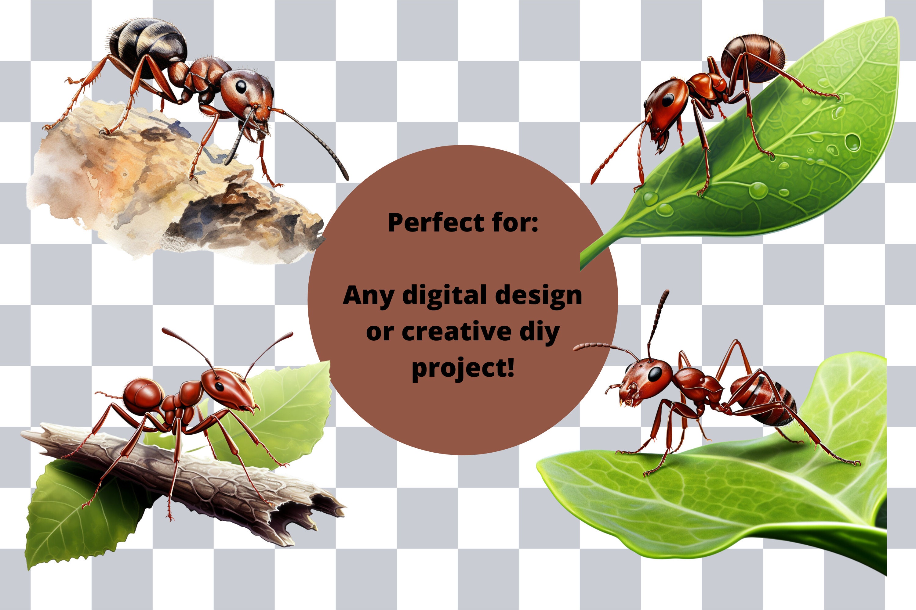 Ant Nature Clipart, Ants Working Print, Printable Watercolor Insect ...