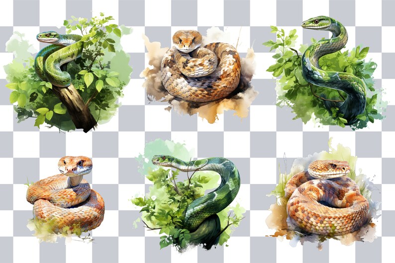 Watercolor Snake Clip Art, Snakes Reptiles Clipart, Cute Reptile ...