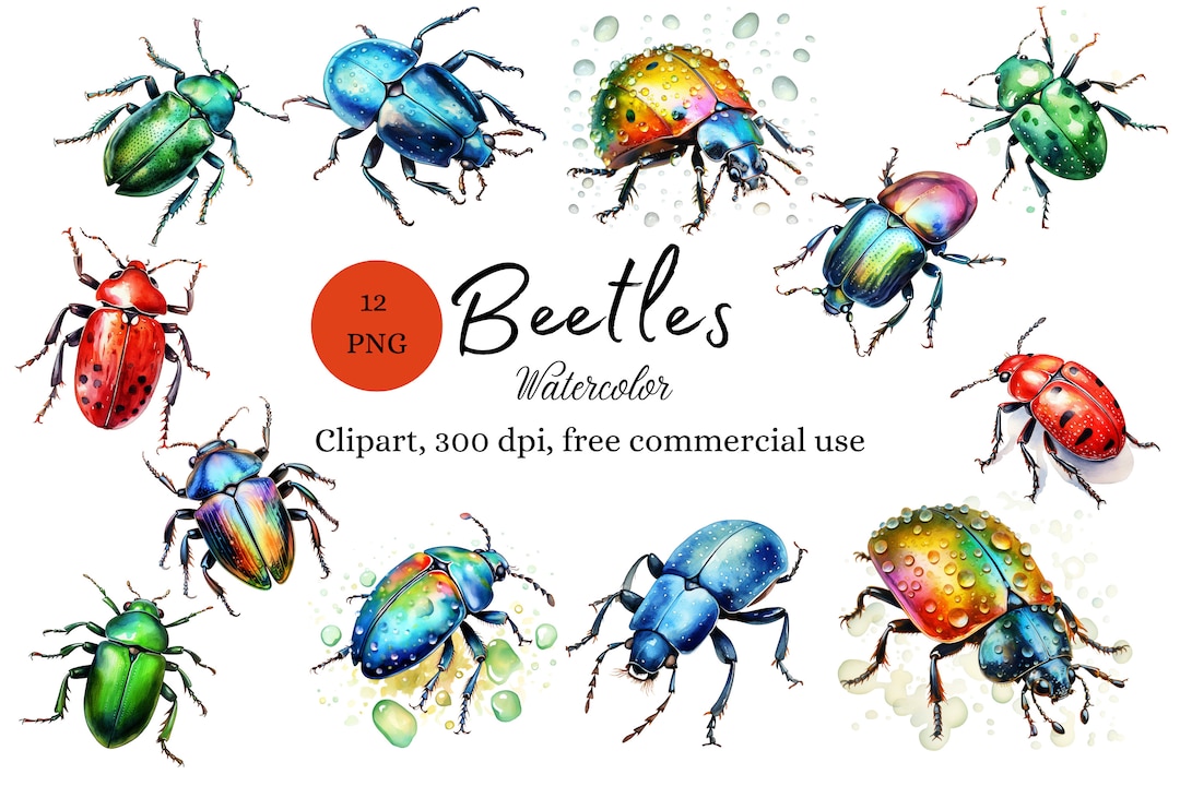 Watercolor Beetle Clip Art, Insect Clipart Graphics, Colorful Beetles ...