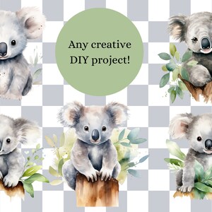 Watercolor Koala Bear Clip Art, Cute Animals Clipart, Baby Bears ...