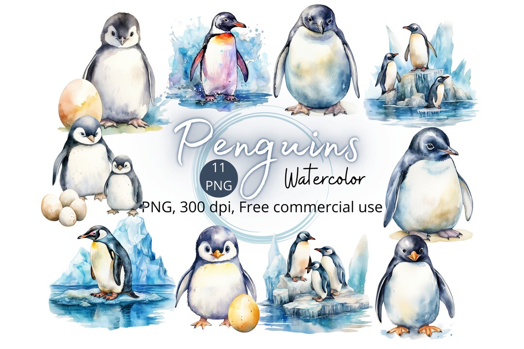 Watercolor Penguin Clip Art Png, Cute Penguin Graphics Design, Clipart ...