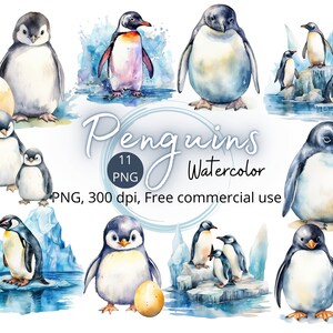 Watercolor Penguin Clip Art Png, Cute Penguin Graphics Design, Clipart ...