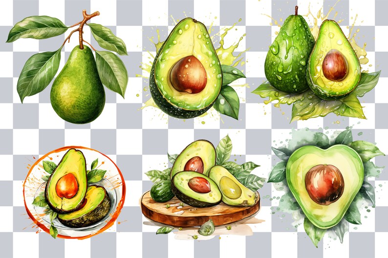 Avocado Watercolor Clip Art, Jucy Avocados Clipart, Guacamole Graphics ...