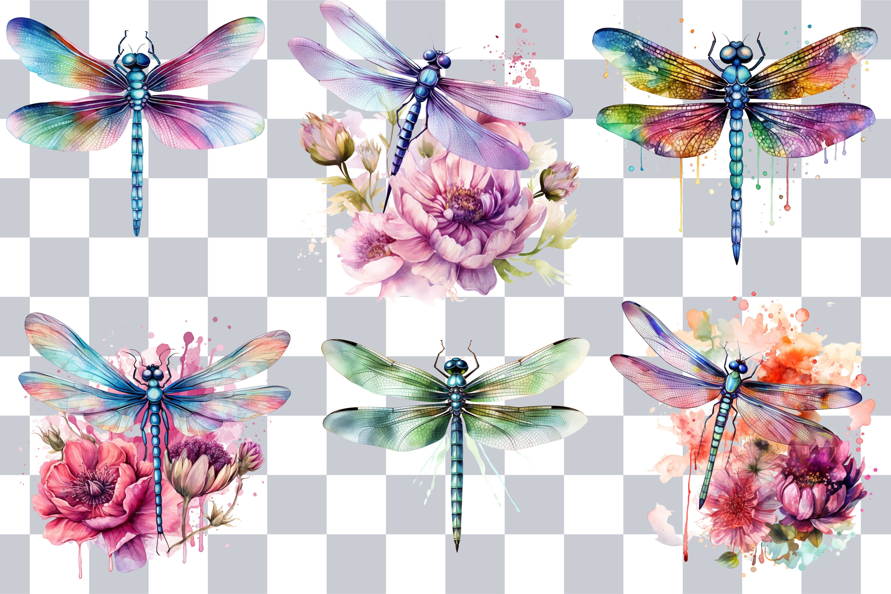 Watercolor Dragonfly Clip Art, Colorful Insect Graphics, Water Bug ...