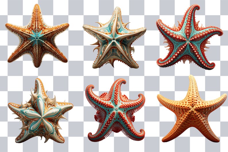 Starfish Clipart 3D Model, Seastar Printable, Ocean Animal, Seastar ...
