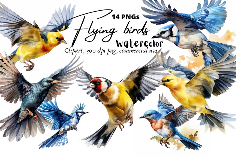 Watercolor Flying Birds Clip Art, Pretty Bird Printable, Goldfinch ...