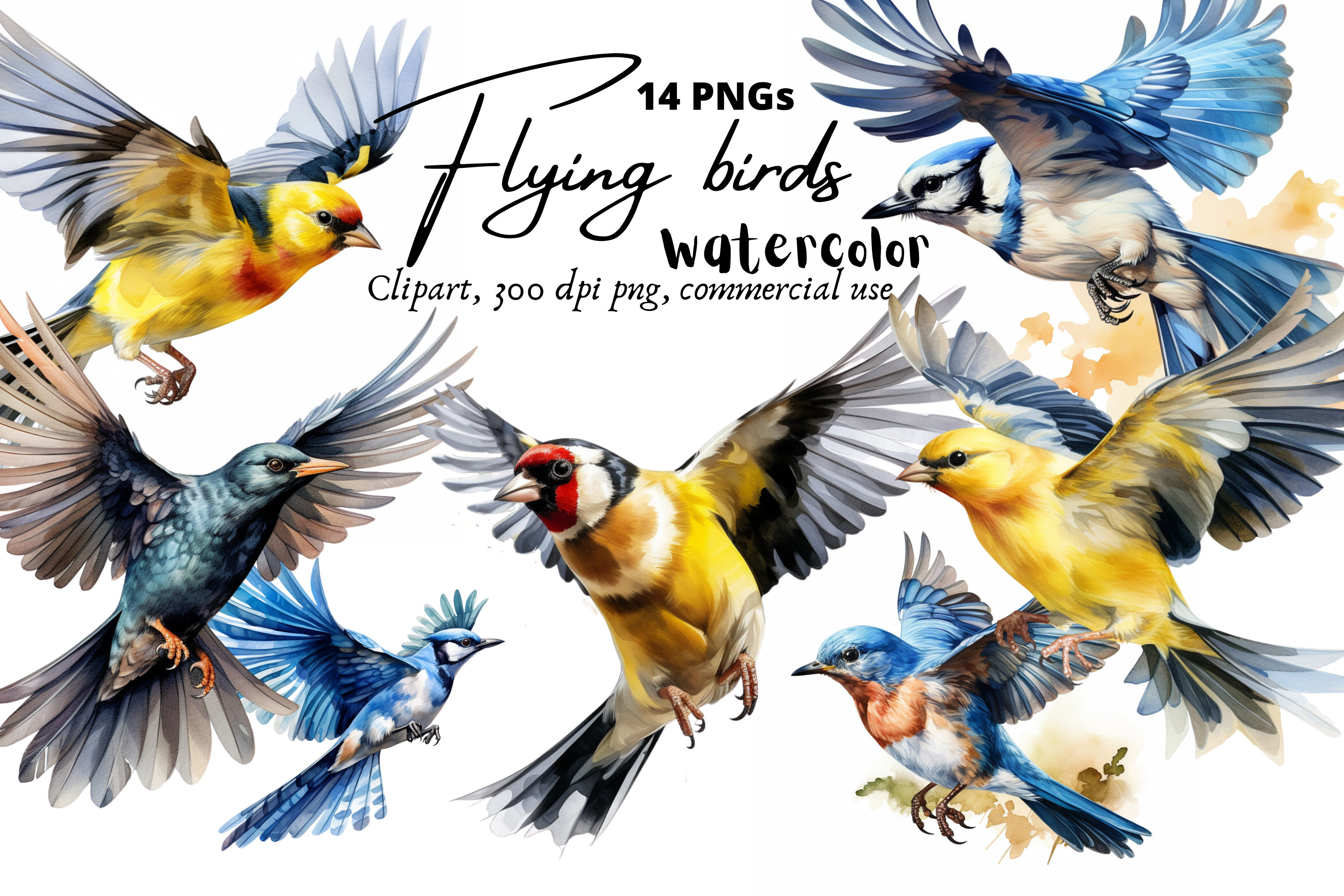 Watercolor Flying Birds Clip Art, Pretty Bird Printable, Goldfinch ...