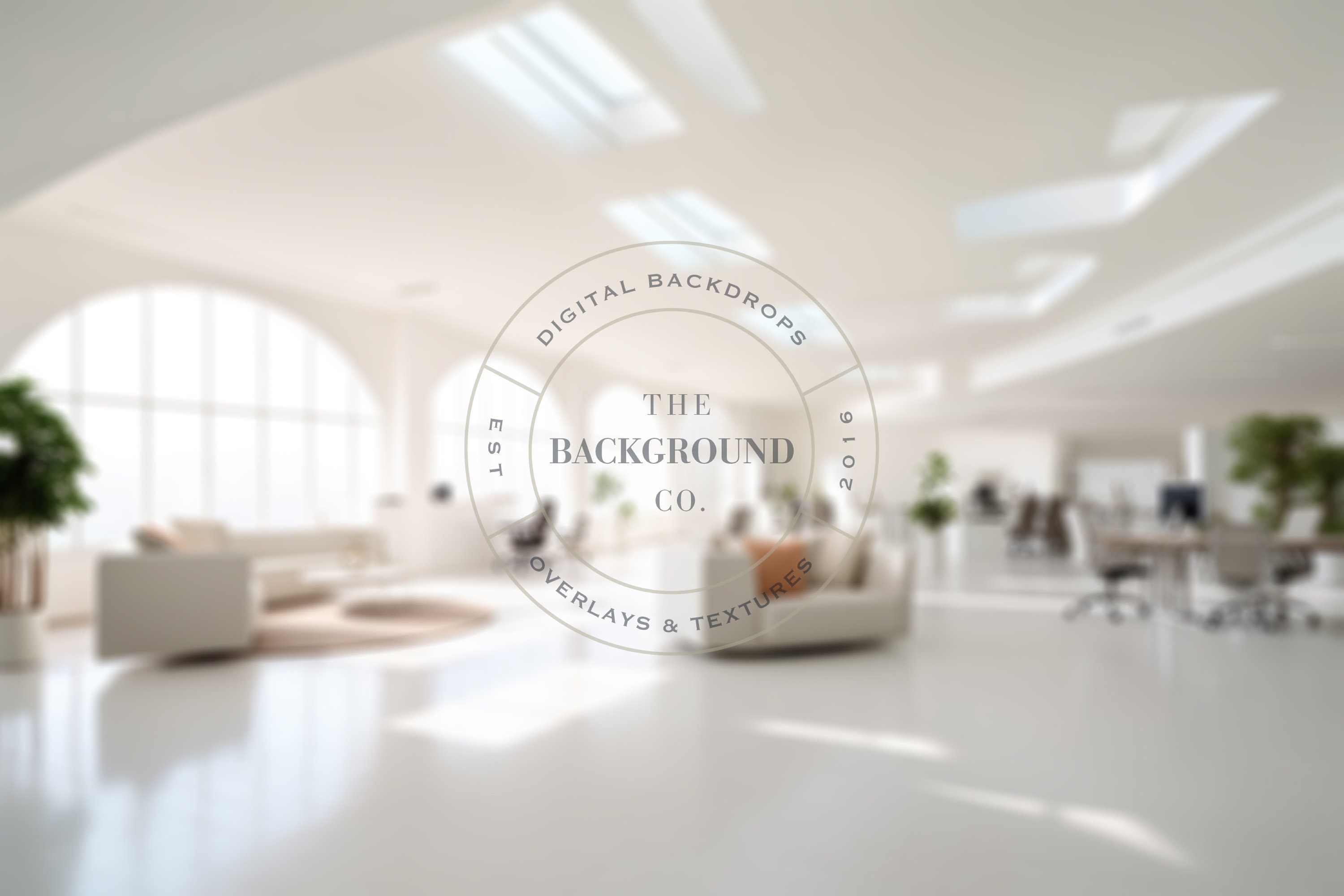 Soft Focus Bright Office 4 Corporate Headshot Blurry Backgrounds ...