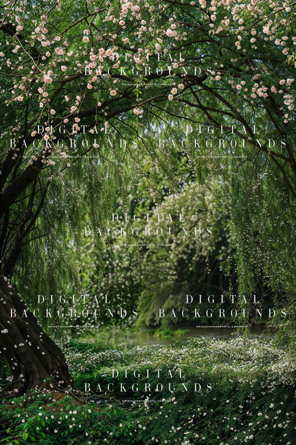 River Forest Digital Backgrounds Tree & Flower Canopy Outside Spring ...