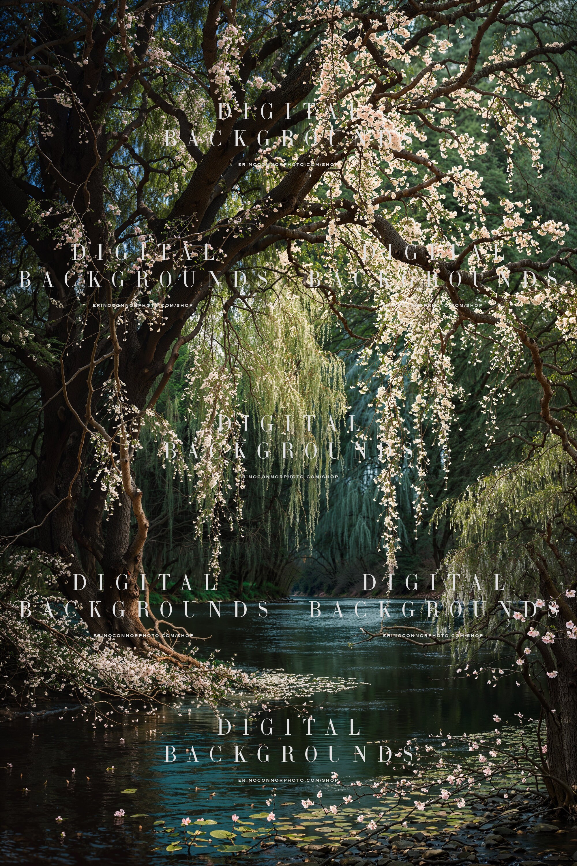 River Forest Digital Backgrounds | Tree & Flower Canopy | Outside ...