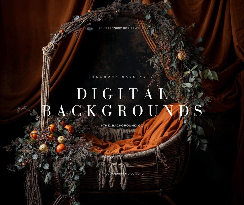 Newborn Bassinet Digital Backgrounds | Baby Canopy Cradle Basket ...