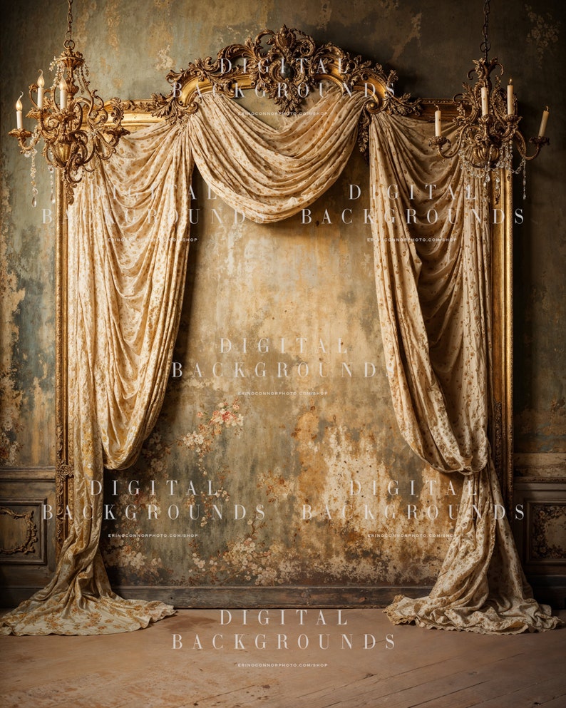 Gold Baroque Frame Arch Background Fine Art Digital Backdrops Victorian ...
