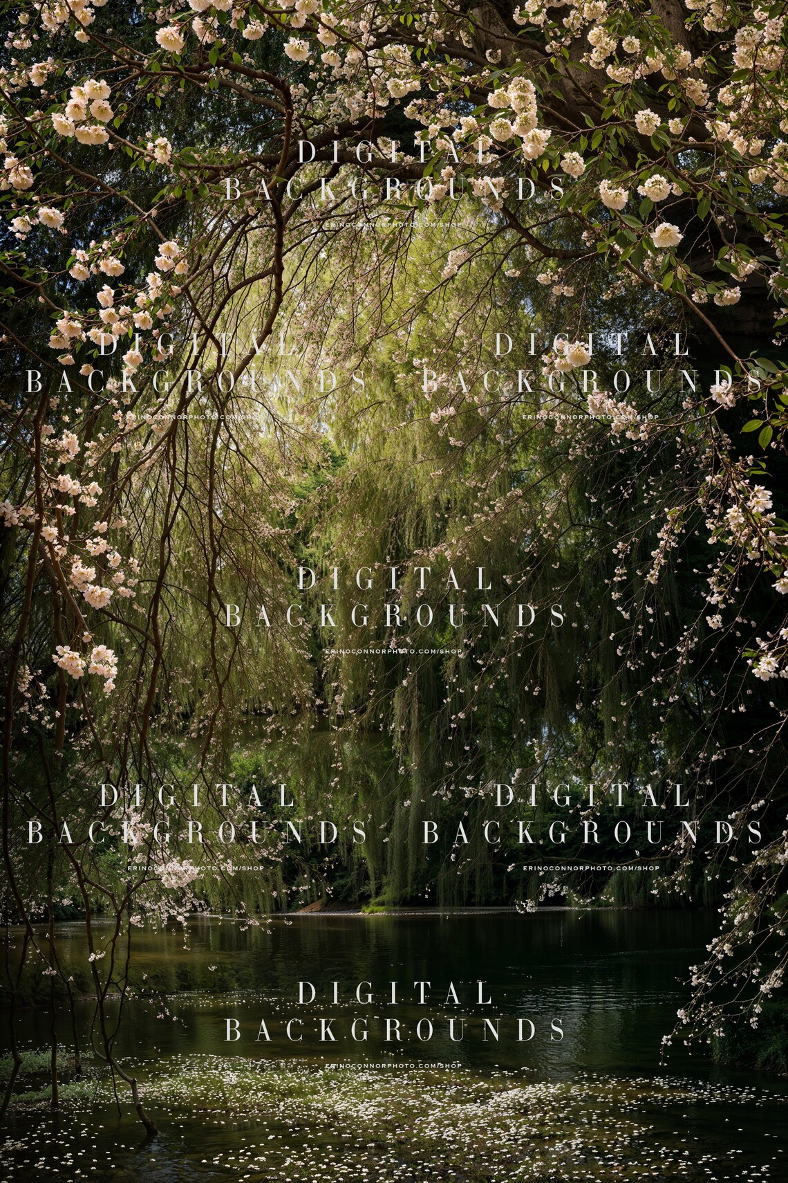 River Forest Digital Backgrounds Tree & Flower Canopy Outside Spring ...