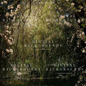 River Forest Digital Backgrounds | Tree & Flower Canopy | Outside ...