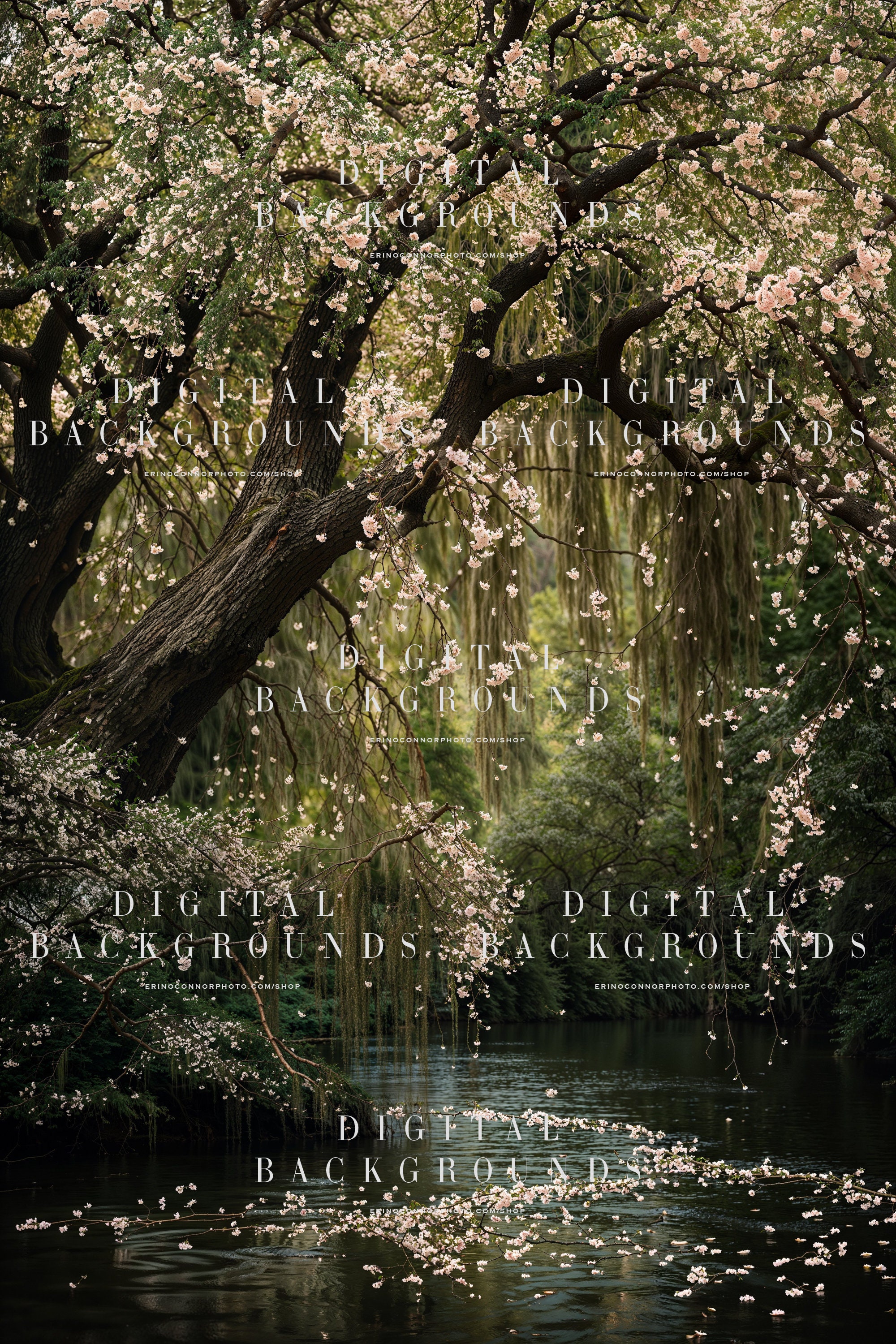 River Forest Digital Backgrounds | Tree & Flower Canopy | Outside ...