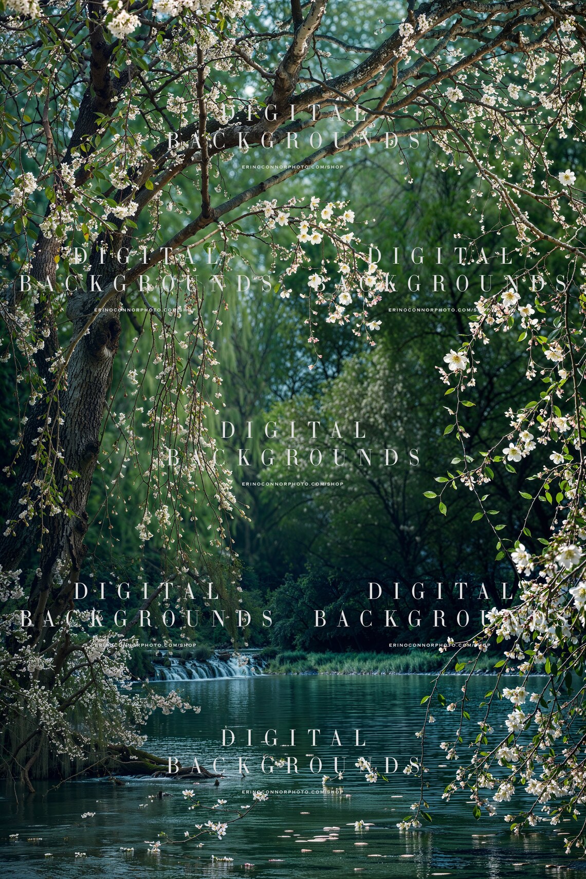 River Forest Digital Backgrounds Tree & Flower Canopy Outside Spring ...