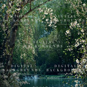 River Forest Digital Backgrounds | Tree & Flower Canopy | Outside ...