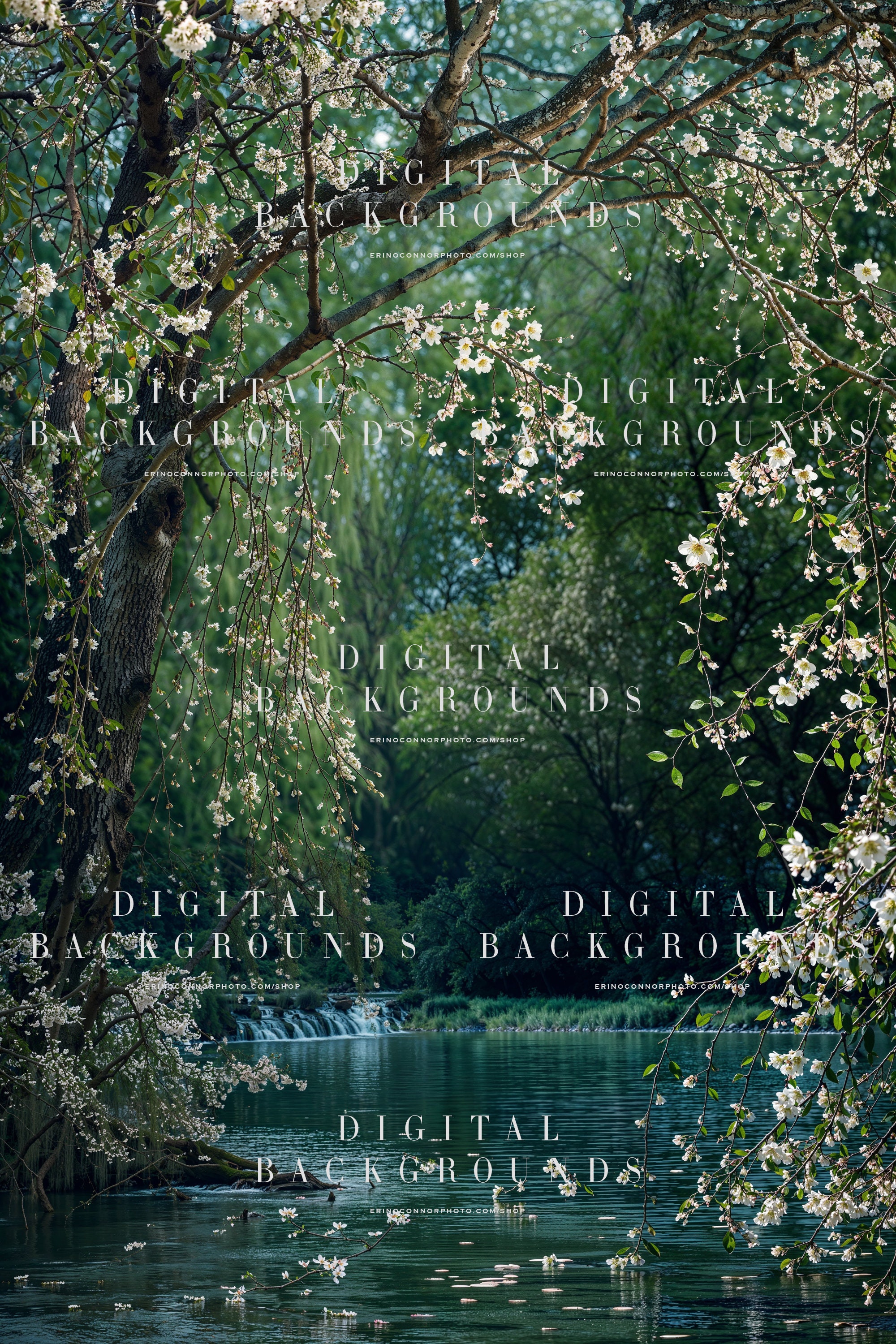 River Forest Digital Backgrounds | Tree & Flower Canopy | Outside ...