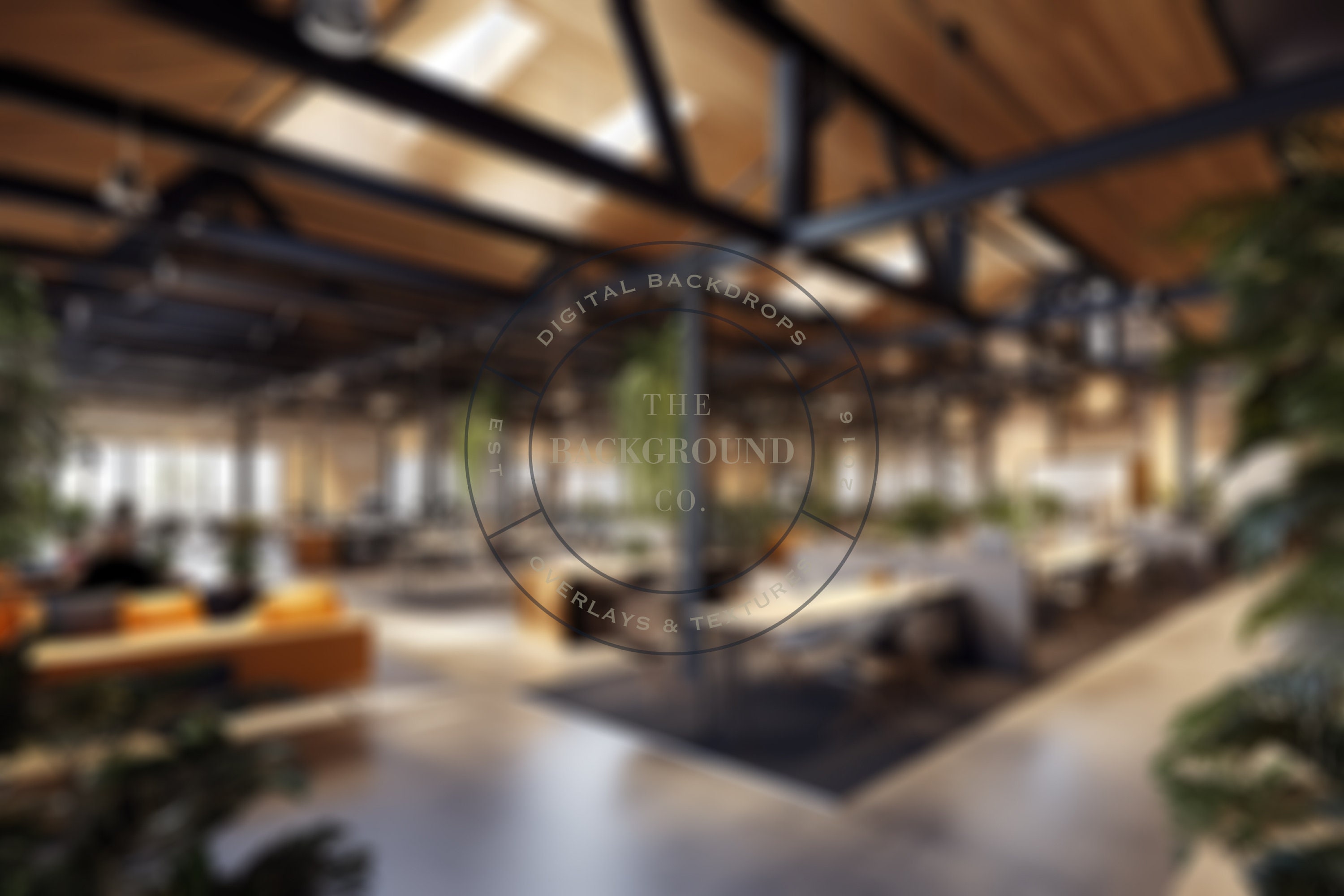 Soft Focus Dark Office 4 Corporate Headshot Blurry Backgrounds ...