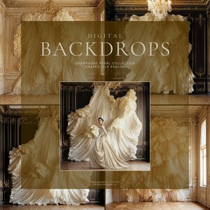 Silk Drapery Digital Backgrounds | Romantic Baroque Magic | Photoshop ...