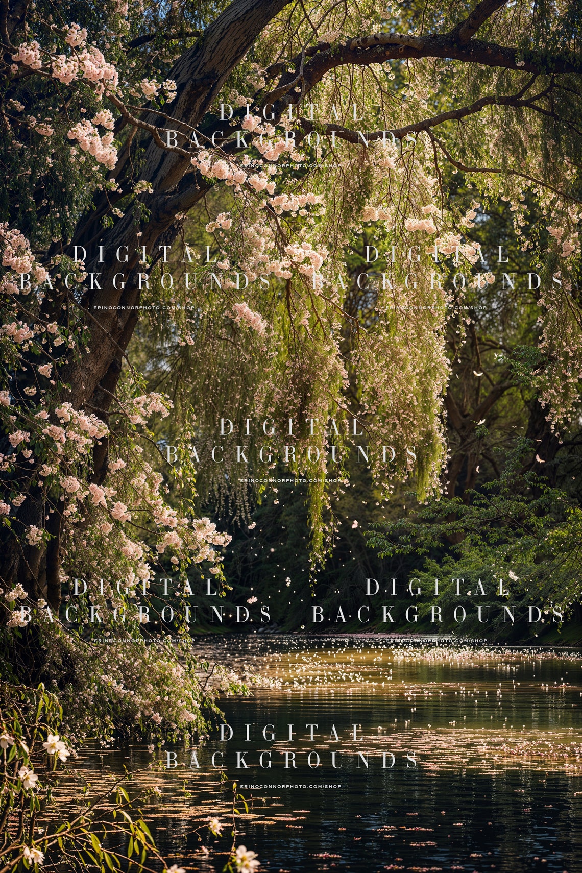 River Forest Digital Backgrounds Tree & Flower Canopy Outside Spring ...