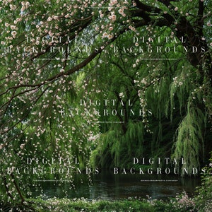 River Forest Digital Backgrounds | Tree & Flower Canopy | Outside ...