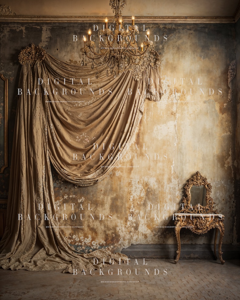 Gold Baroque Frame Arch Background Fine Art Digital Backdrops Victorian ...