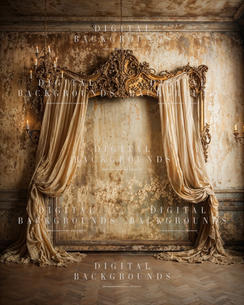 Gold Baroque Frame Arch Background Fine Art Digital Backdrops Victorian ...