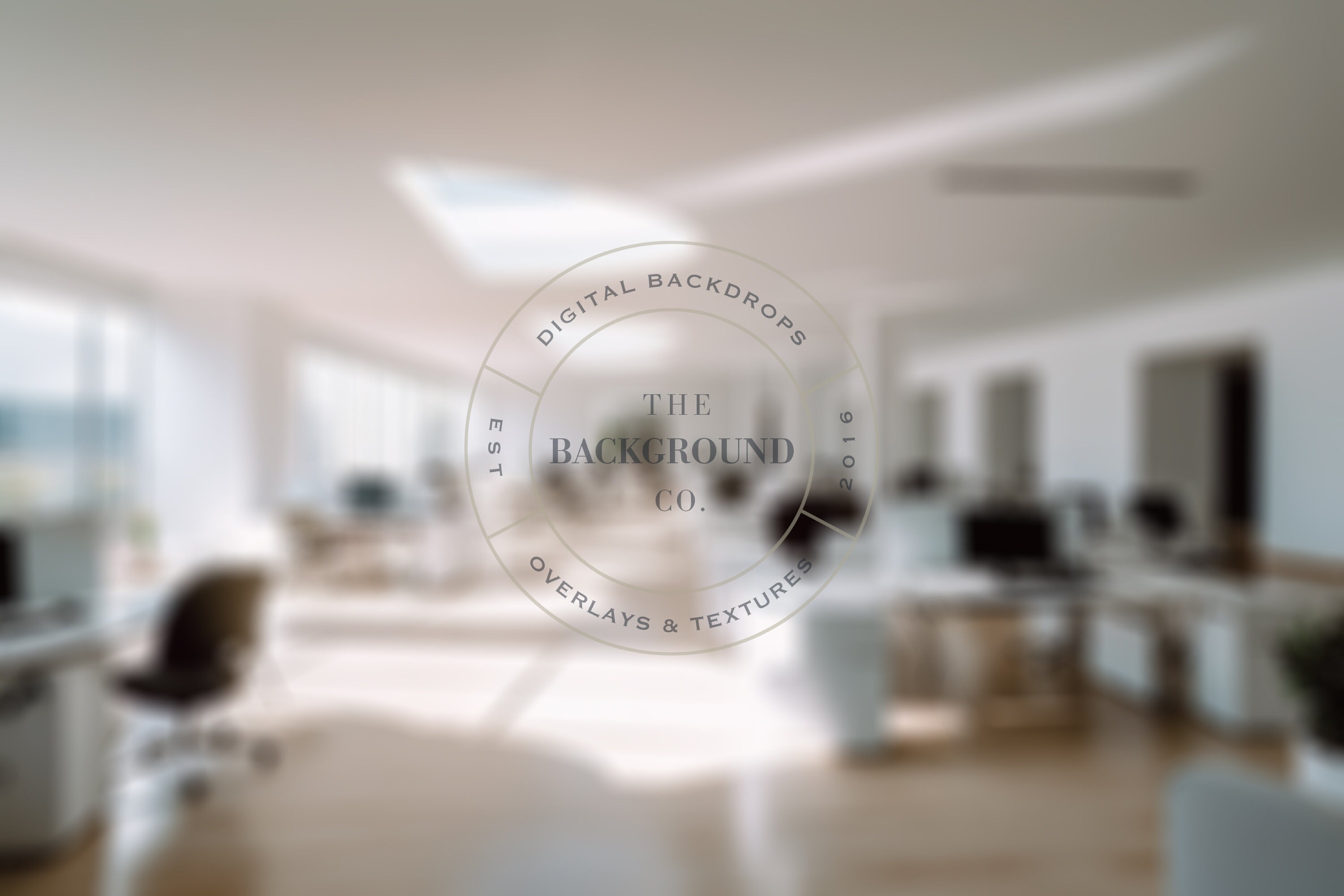 Soft Focus Bright Office 4 Corporate Headshot Blurry Backgrounds ...