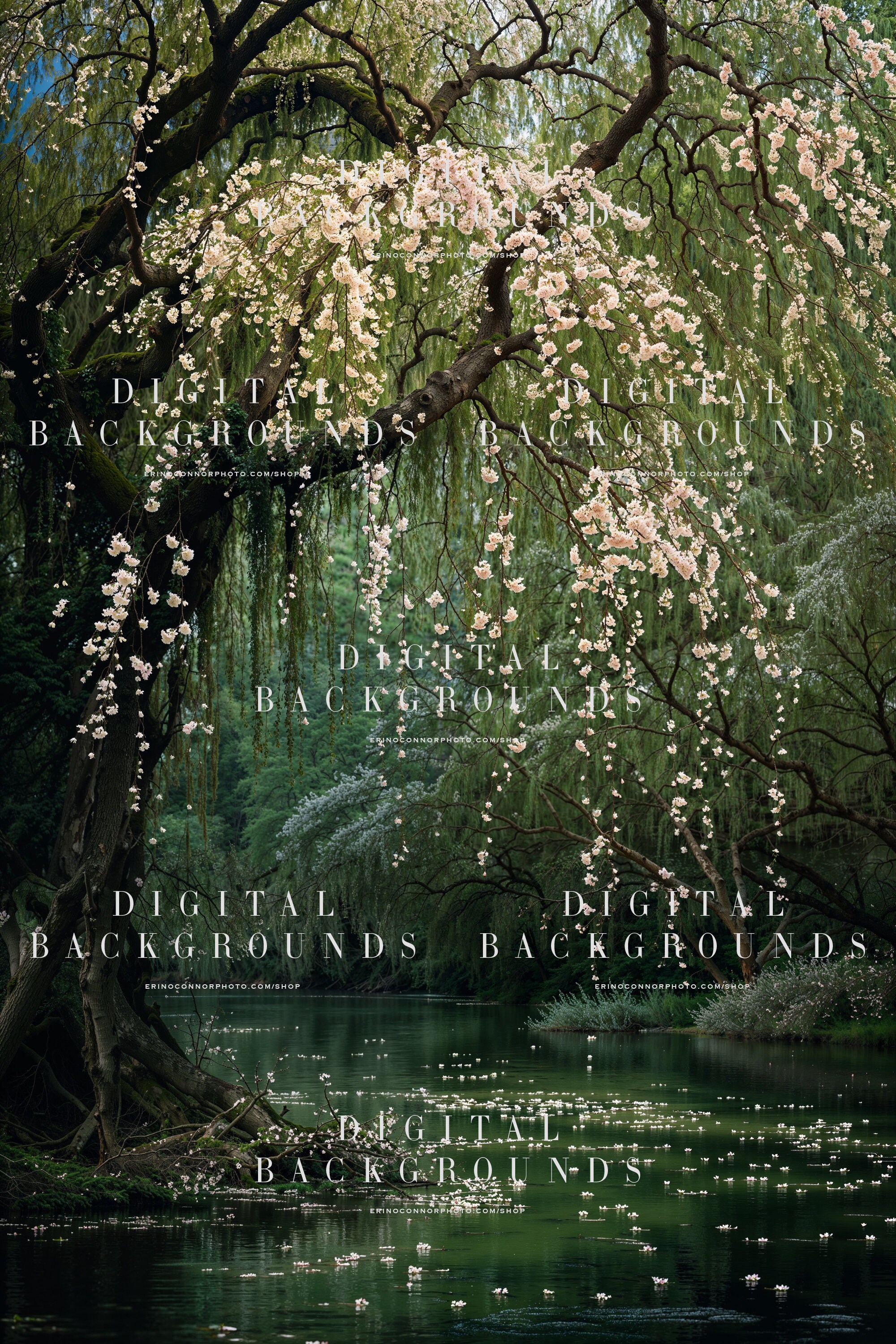 River Forest Digital Backgrounds | Tree & Flower Canopy | Outside ...