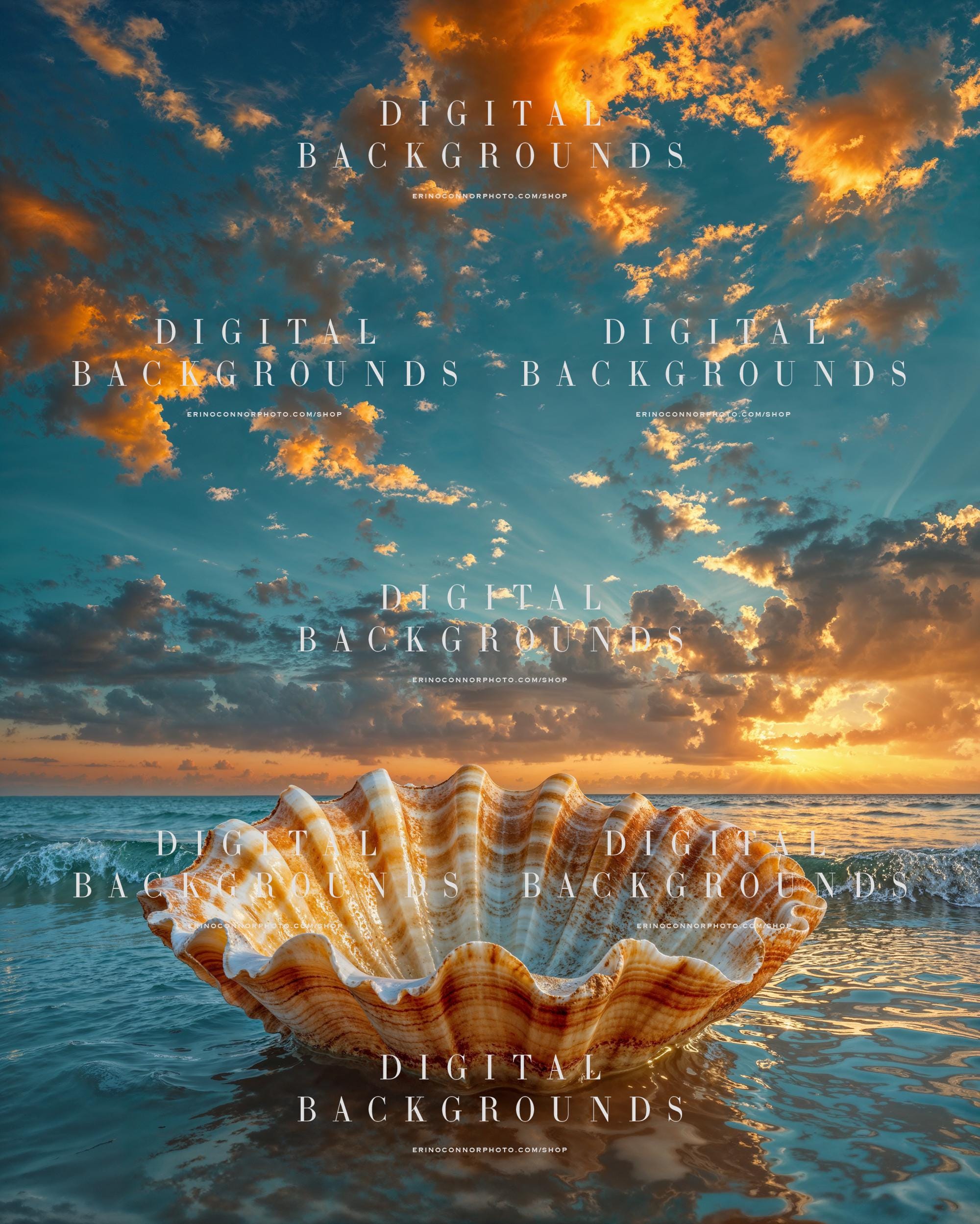 Mythology Venus Seashell Digital Backgrounds | Maternity, Fine Art ...