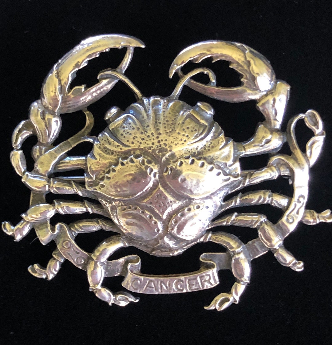 Cini Zodiac Pin- 1950’s Italian- Sterling Silver (sign-cancer) 2” - Etsy