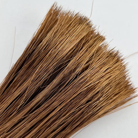 Antique German Tyrolean Hat Pin (Roe Deer Teeth, Acor… - Gem