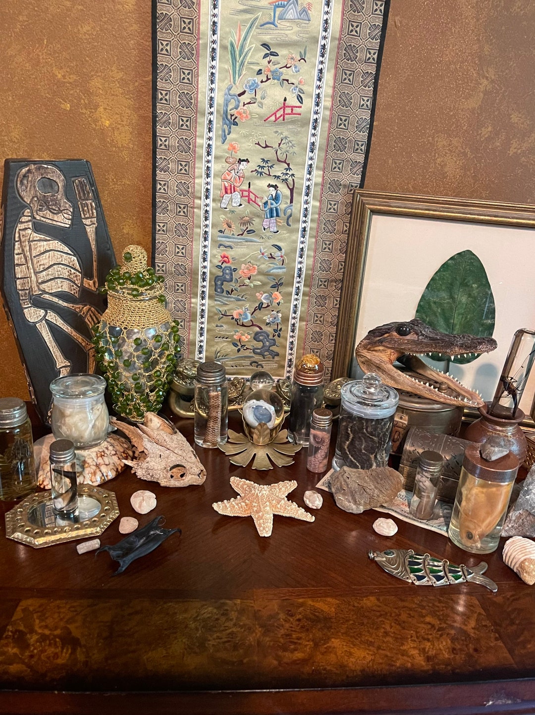 Jungle Room Oddities Starter Set EXTRA LARGE Curiosities - Etsy