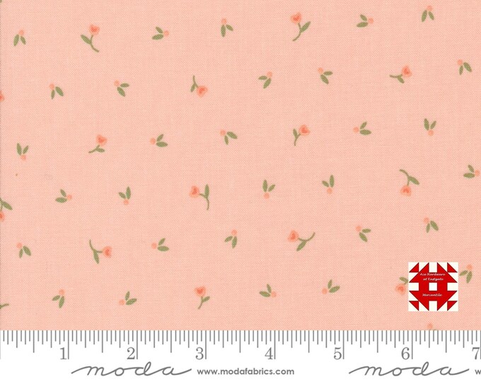 Moda Flower Girl by Heather Briggs of My Sew Quilty Life - Picked Ditsy ...