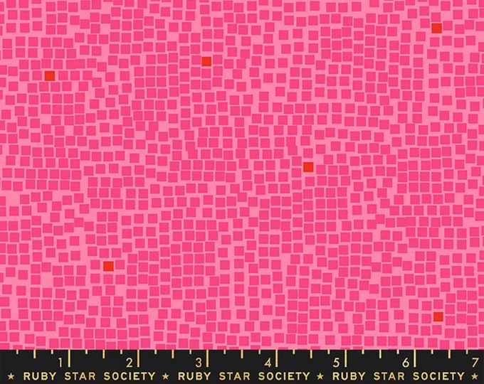Pixel by Rashida Coleman-hale for Ruby Star Society Pixel Print in ...
