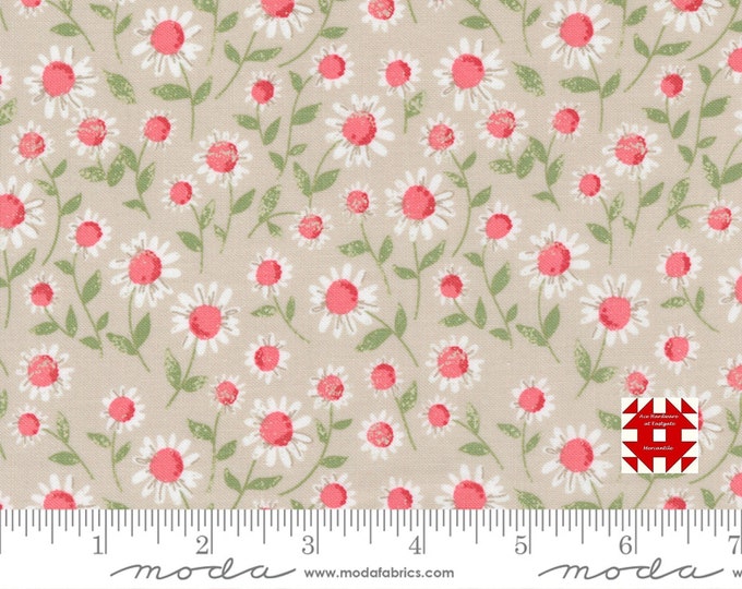 Moda Love Note by Lella Boutique - Daisy Print on Dove (item # 5151 17 ...