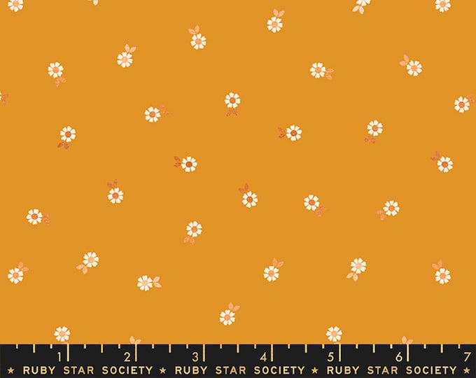 Ruby Star Society Curio by Melody Miller - Endpaper Print on Honey ...