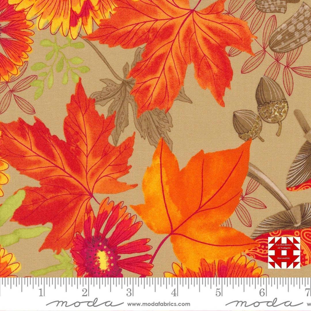 Moda Forest Frolic by Robin Pickens - Blanket Flower Print on Caramel ...