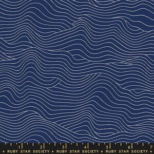 Ruby Star Society Water Collaborative Collection Wavelength Print in ...