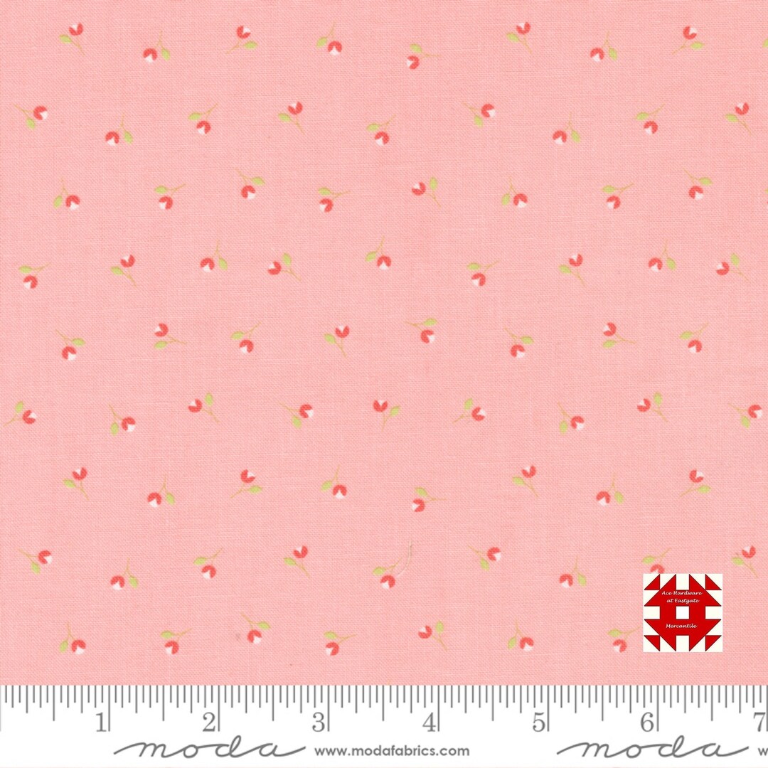 Moda Sunwashed by Corey Yoder of Coriander Quilts - Bittie Buds Print ...