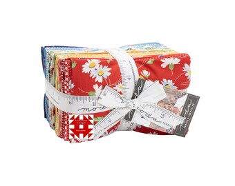 Moda Dance in Paris Metallics Fat Eighth Bundle by Brigitte Heitland for Zen Chic - Etsy