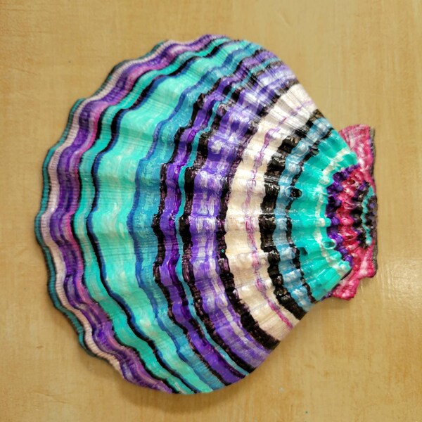 Sea Shell Decor - Etsy