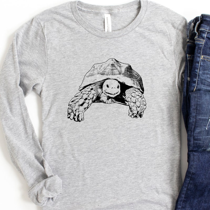 Clothing for Tortoises - Etsy
