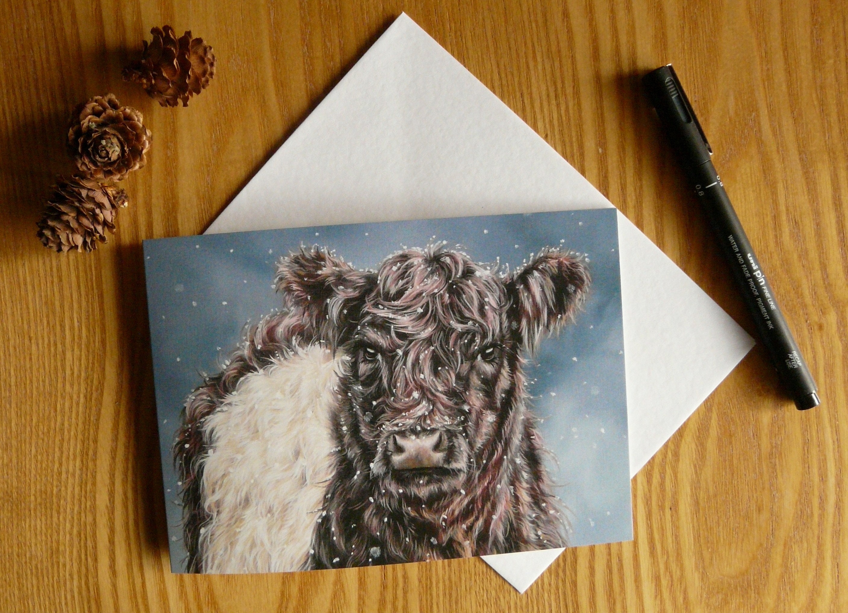 Belted Galloway Cow Xmas / Birthday /greeting Card - Etsy