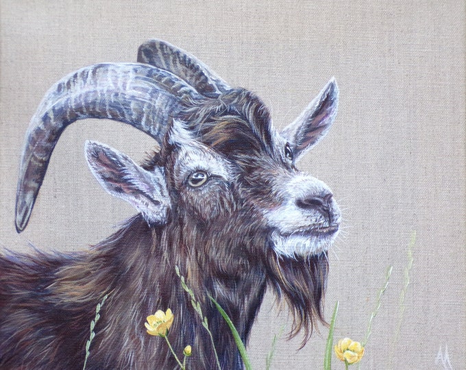 Goat - Original Farm Animal Painting on Canvas by Alison Armstrong - Etsy