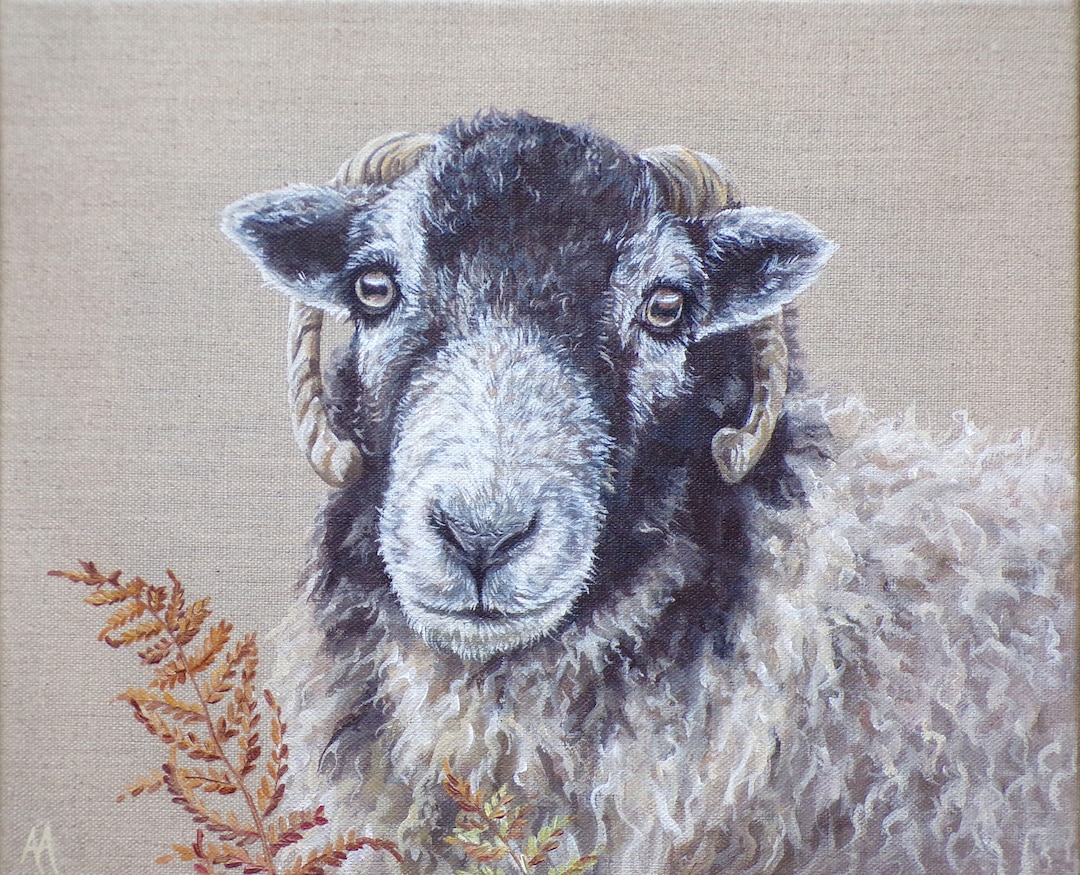 Swaledale Ewe Original Farm Animal Painting on Canvas by - Etsy