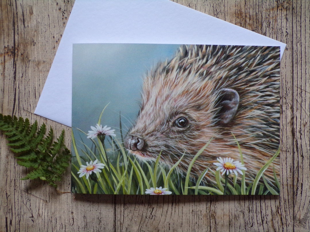 Hedgehog Greeting Card - Birthday / Blank Card - Wildlife / Animal Art ...