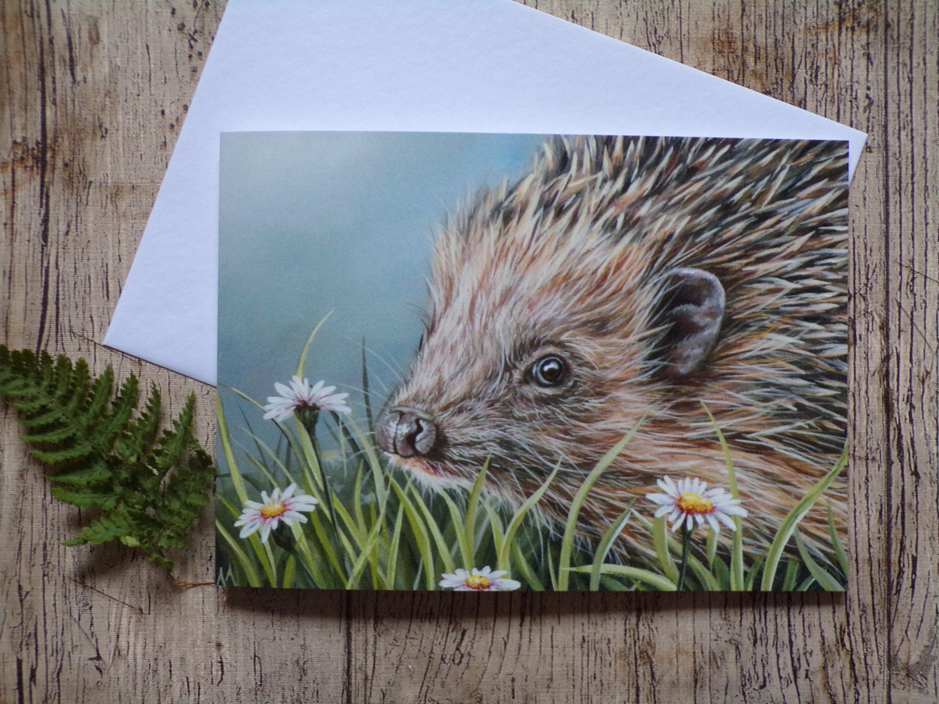Hedgehog Greeting Card Birthday / Blank Card Wildlife / - Etsy